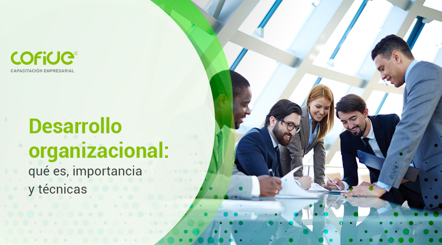 Desarrollo organizacional: qué es, importancia y técnicas
